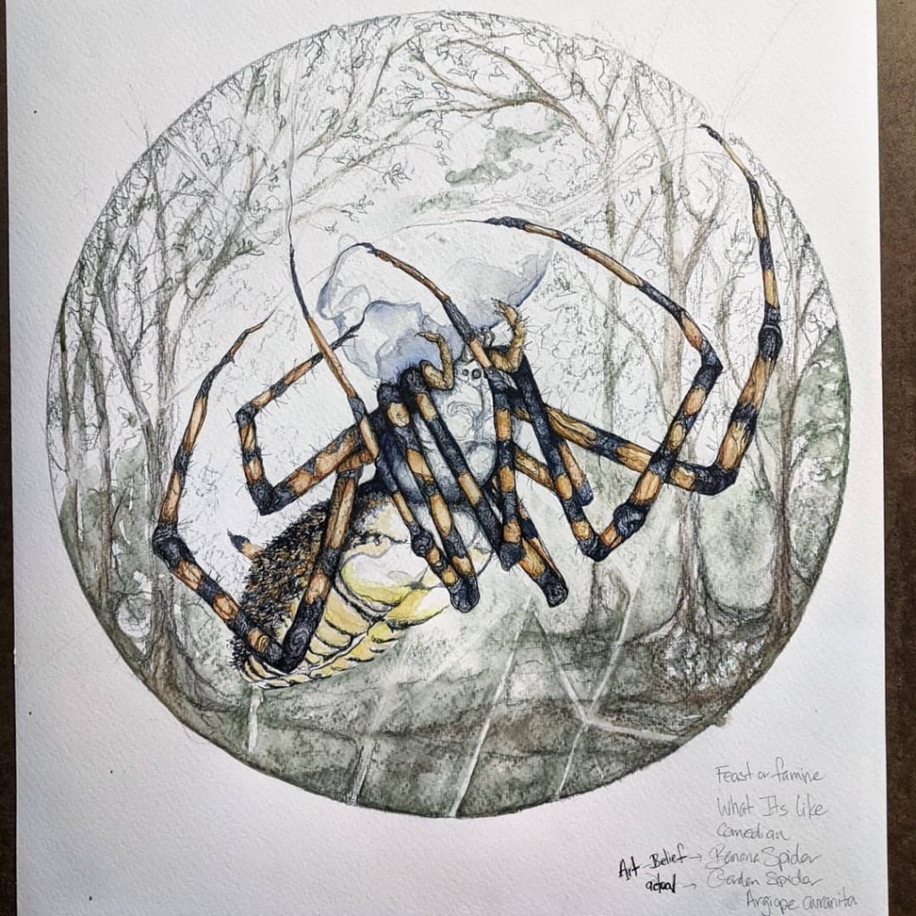 Garden spider aka.. banana spider drawing by Carolyn S. Pio | Doodle ...