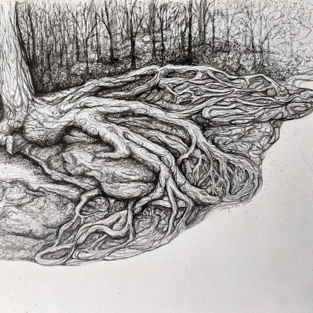 Roots complete drawing by Carolyn S. Pio | Doodle Addicts
