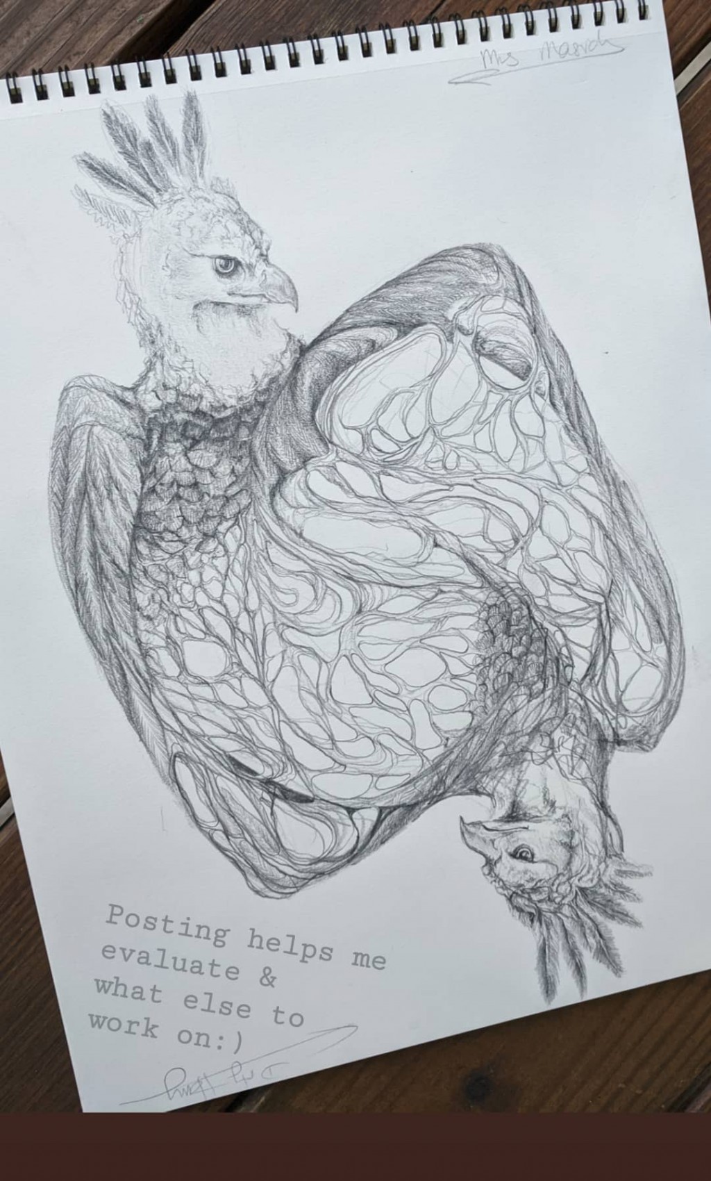 Harpy Sketch complete drawing by Carolyn S. Pio | Doodle Addicts