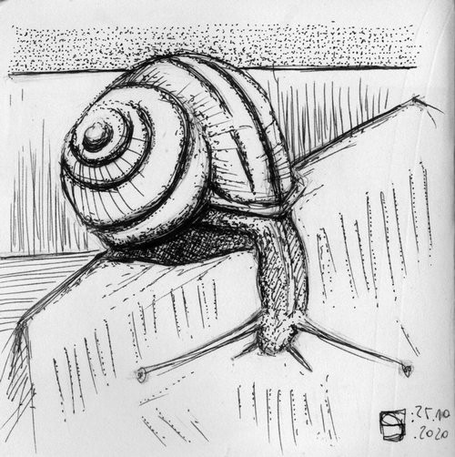 inktober day 26 Hide drawing by Sylwia J-D | Doodle Addicts