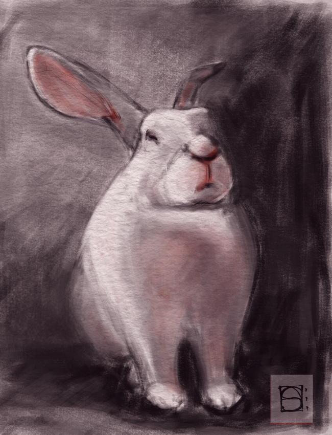 white bunny drawing by Sylwia J-D | Doodle Addicts