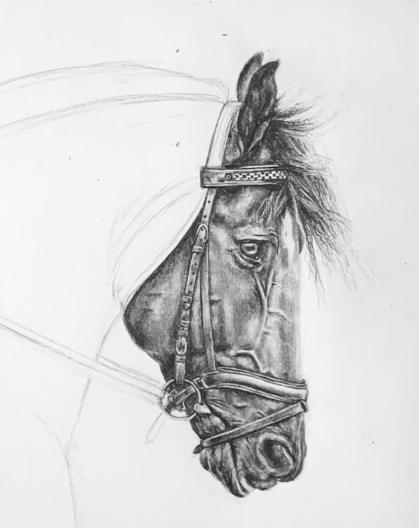 In Progress drawing by Bailey DeWolf | Doodle Addicts