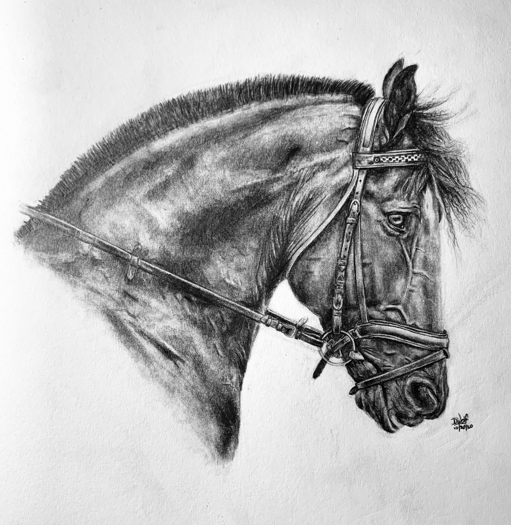 “Black Gold” drawing by B Wolf | Doodle Addicts