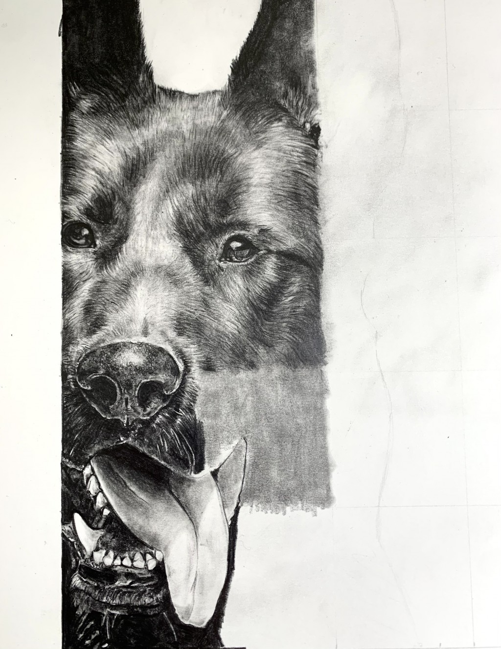 In Progress drawing by Bailey DeWolf | Doodle Addicts