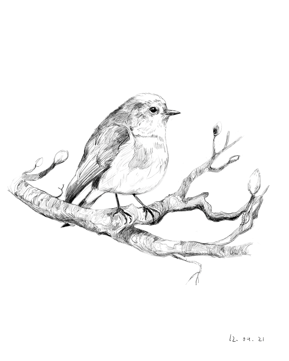 12.09.21 round robin drawing by arabbitwithwings | Doodle Addicts