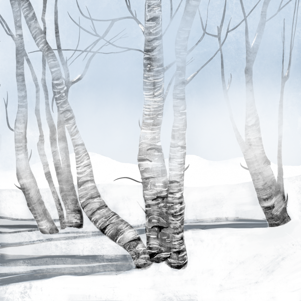 silver birches drawing by arabbitwithwings | Doodle Addicts