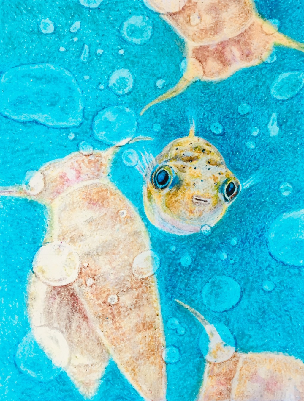 Looking at you drawing by Davina Behin Jones | Doodle Addicts