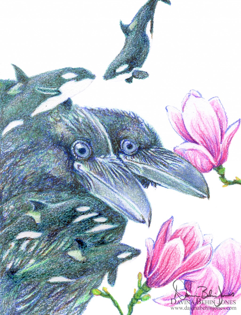 Together We Soar and Dive drawing by Davina Behin Jones | Doodle Addicts