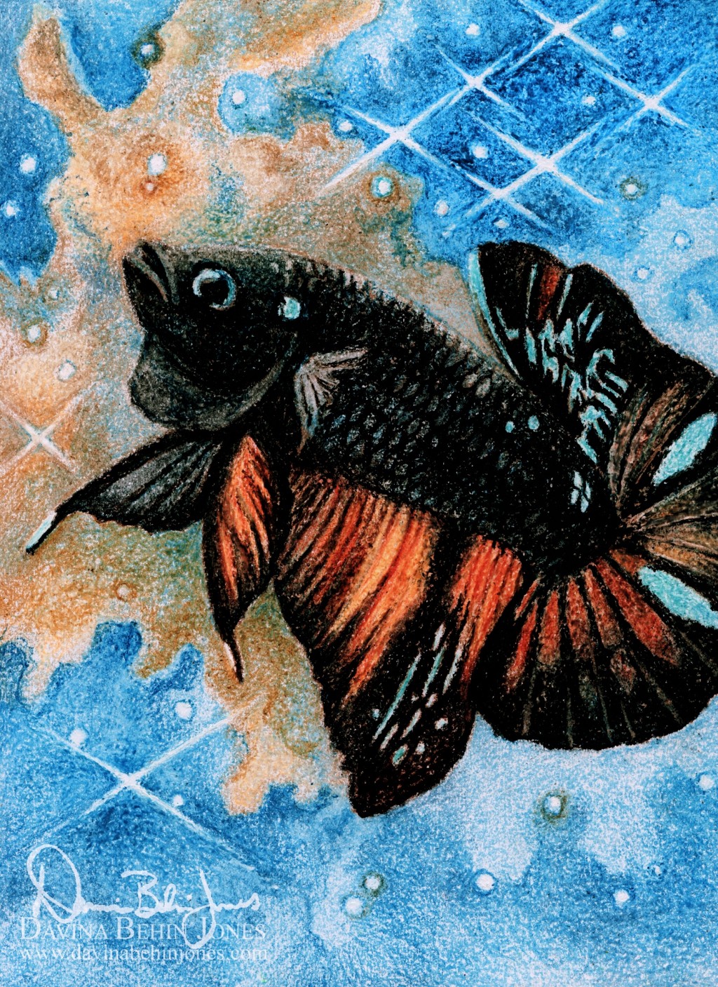Galaxy Betta drawing by Davina Behin Jones | Doodle Addicts