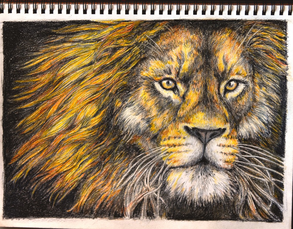 Stay Strong drawing by Ilga Jansons | Doodle Addicts