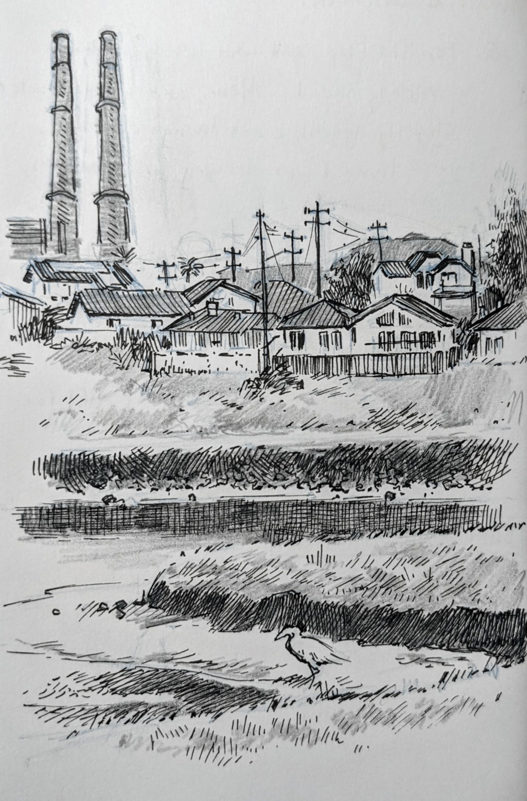 Monterey - Winter 2021/22 drawing by Erich von Hasseln | Doodle Addicts