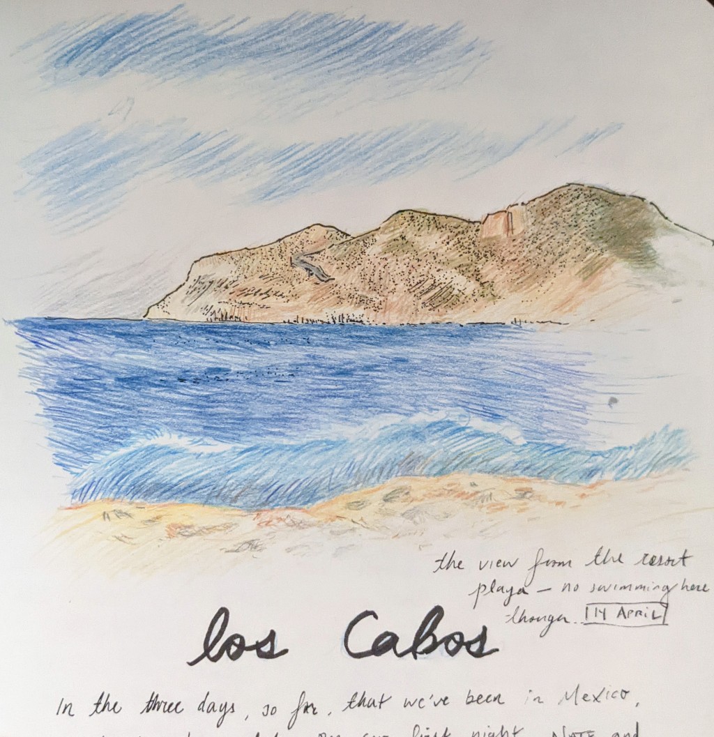 Los Cabos, Mexico - April 2022 drawing by Erich von Hasseln | Doodle ...