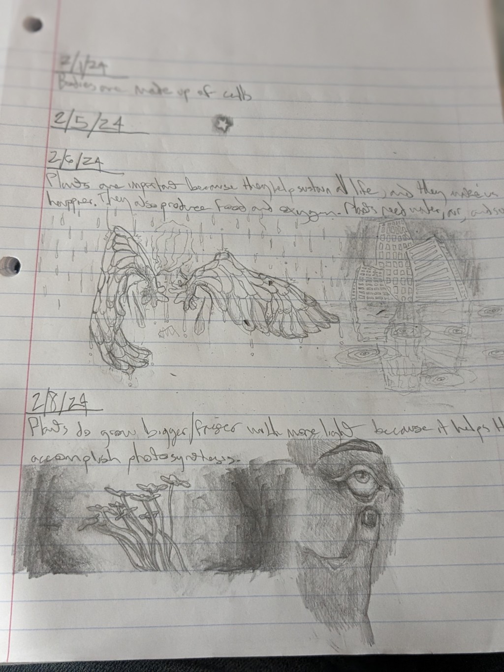 bio drawings drawing by NAJ | Doodle Addicts