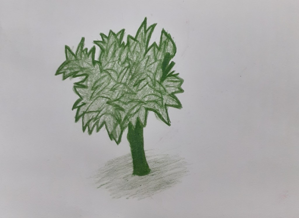 Orange Tree drawing by NAJ | Doodle Addicts