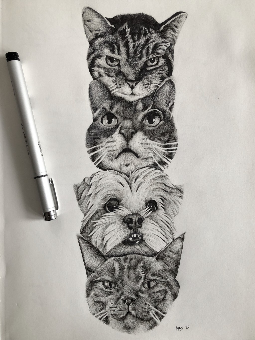 The Pet Totem drawing by Alex Petrarca | Doodle Addicts