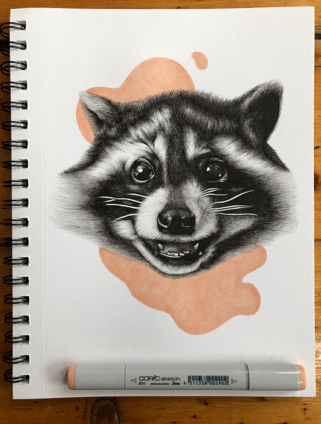 Raccoon drawing by Alex Petrarca | Doodle Addicts