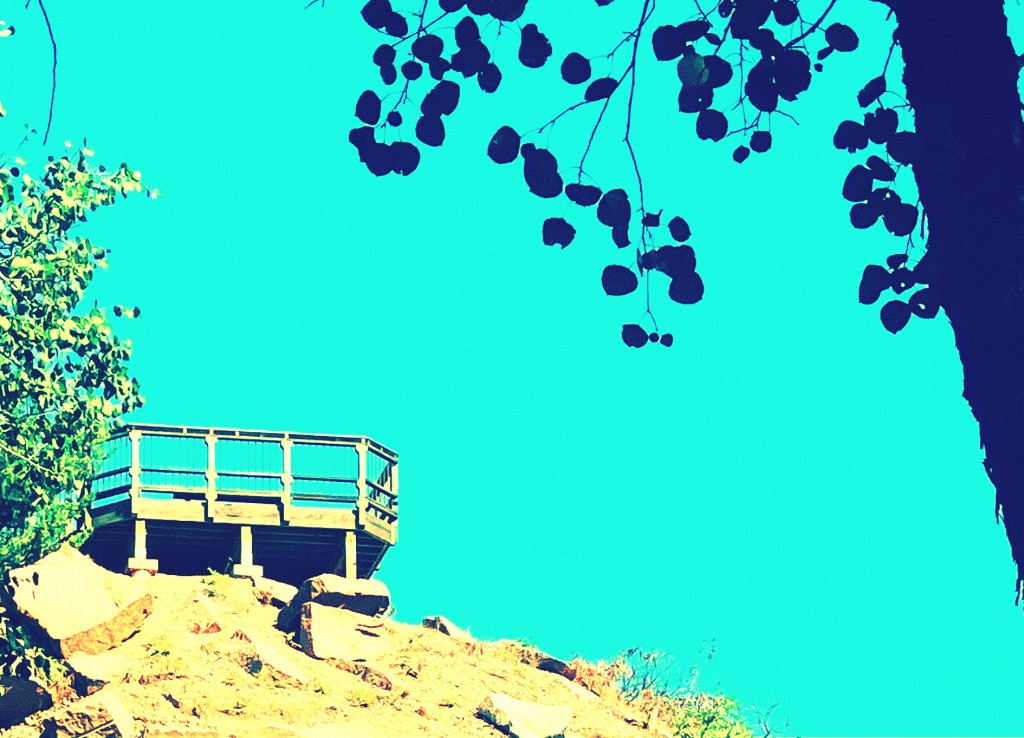 Observation drawing by Sage Stanley | Doodle Addicts