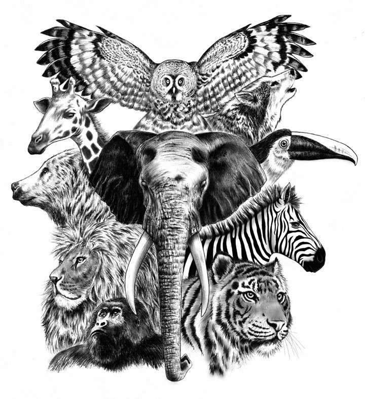 Wildlife drawing by myra naito | Doodle Addicts