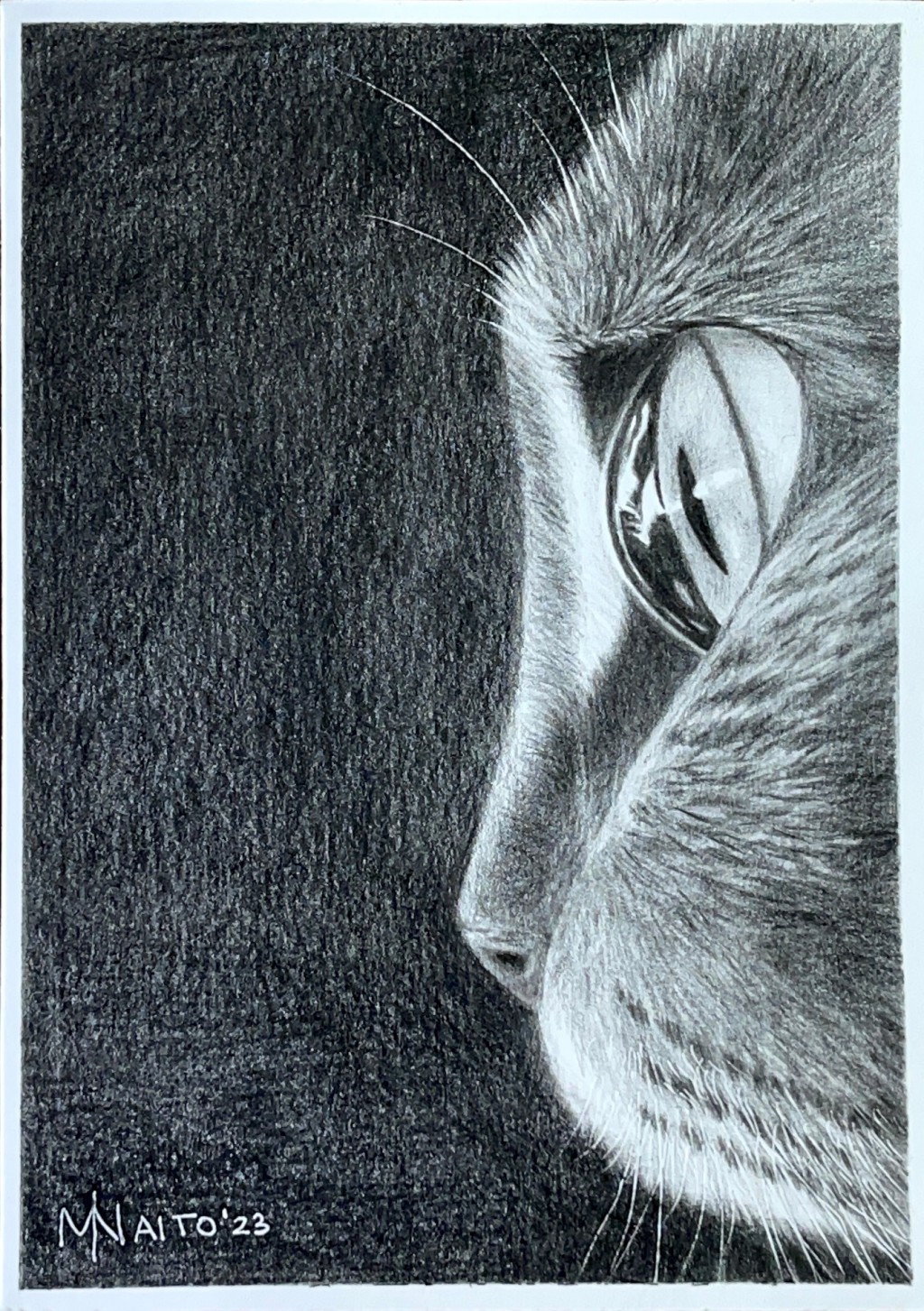 Cat profile drawing by myra naito | Doodle Addicts