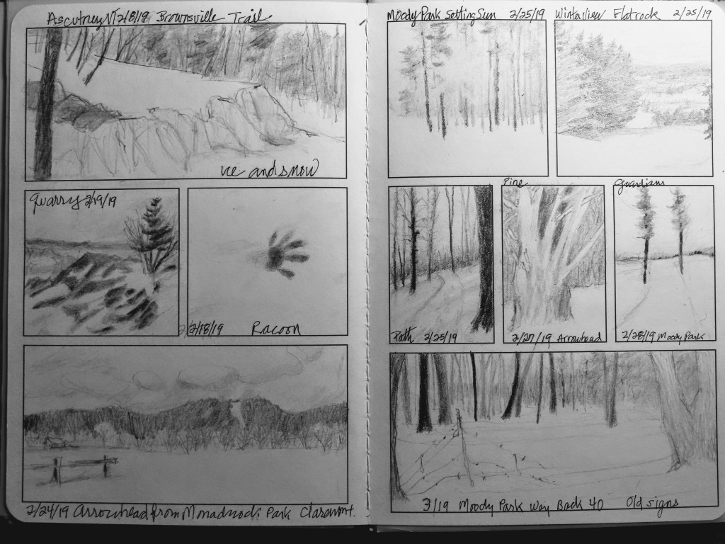 A tiny nature sketchbook 2017-2020 drawing by Mary Heath B. | Doodle ...