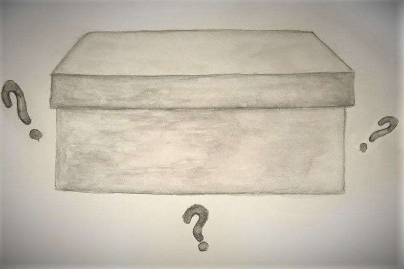 The Mystery Box drawing by Suzette | Doodle Addicts