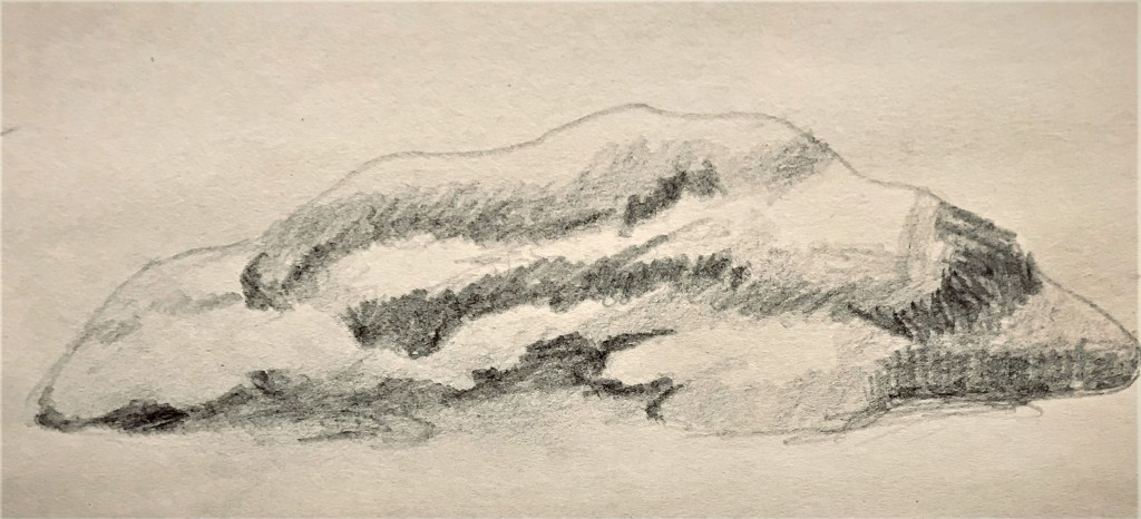 Tone practice drawing by Suzette | Doodle Addicts