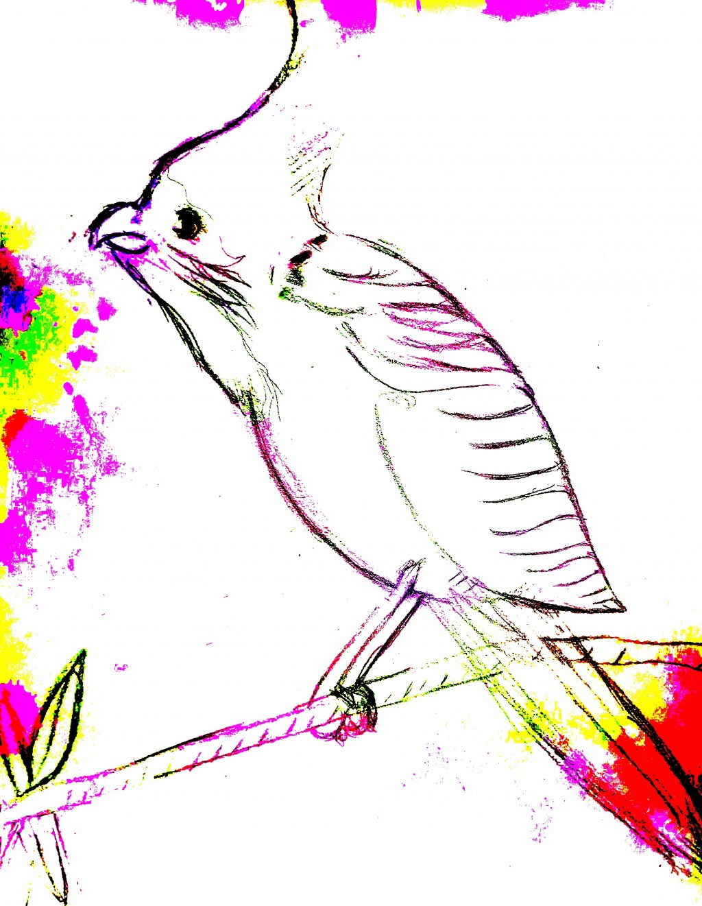 Spring Bird drawing by Suzette | Doodle Addicts