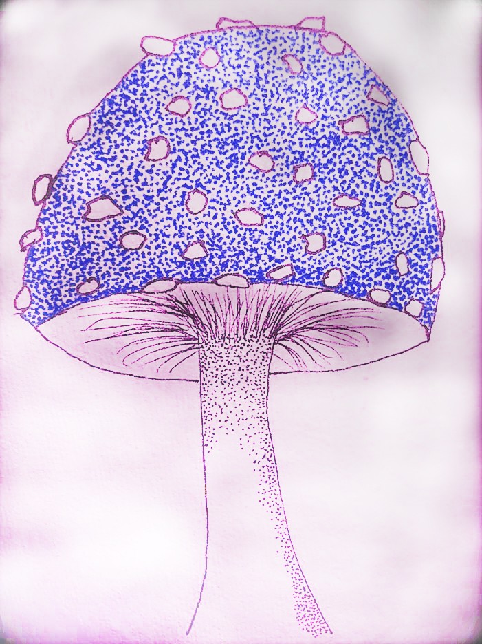 Blue Mushroom drawing by Suzette | Doodle Addicts