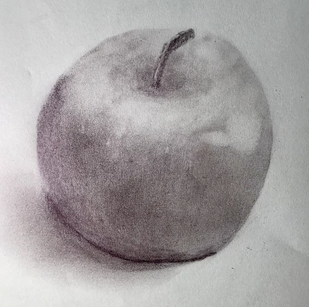 Still Life Practice drawing by Suzette | Doodle Addicts