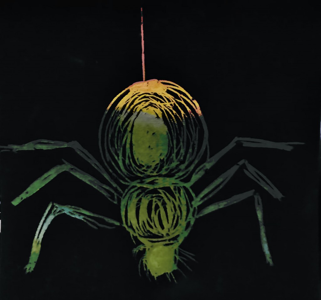 Spider drawing by Suzette | Doodle Addicts