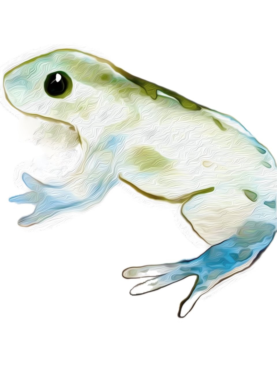 Froggy drawing by Suzette | Doodle Addicts