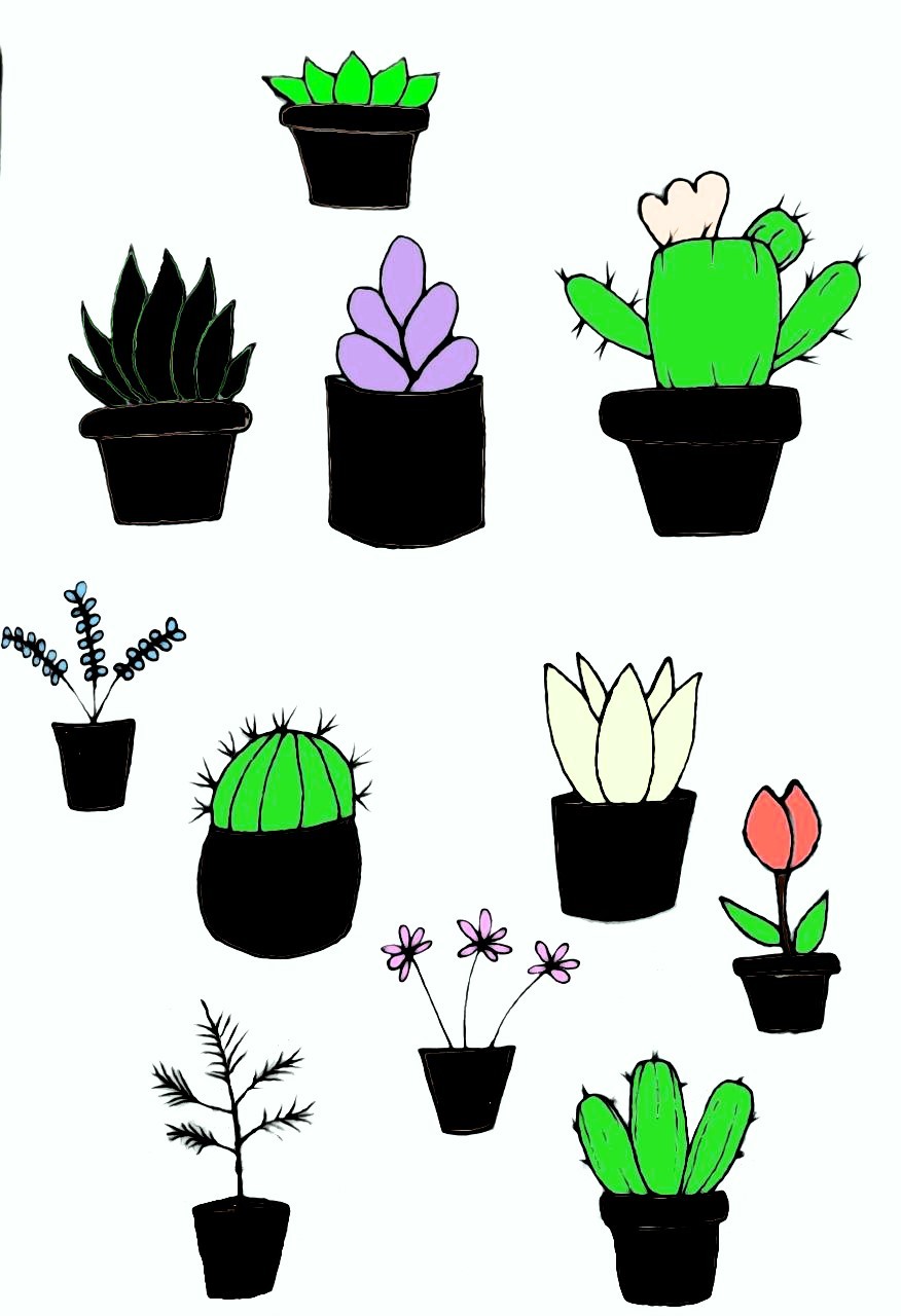 Simple Plant Drawings drawing by Suzette | Doodle Addicts