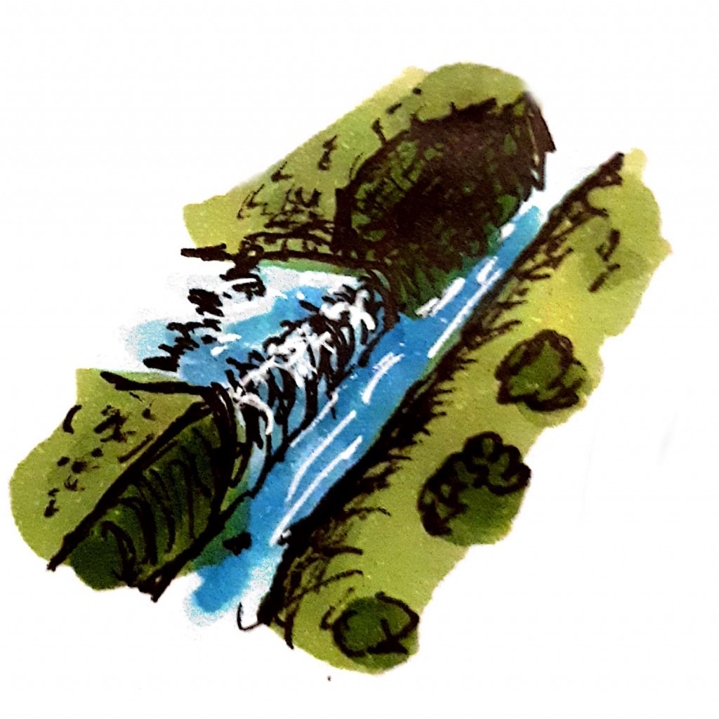 Feeder drawing by Daniel Gräfen | Doodle Addicts