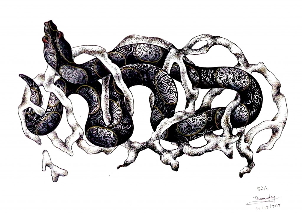 BOA (Big Snake) drawing by Thanrudee | Doodle Addicts