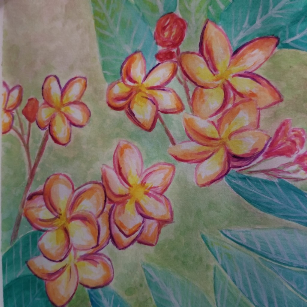 Plumeria drawing by Michelle | Doodle Addicts
