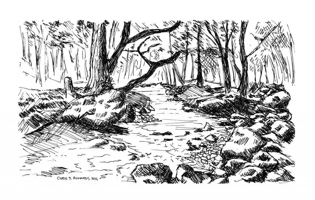 Snowdonia Stream drawing by Chris Richards | Doodle Addicts
