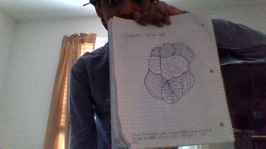 the blob drawing by kanaiyah ward | Doodle Addicts