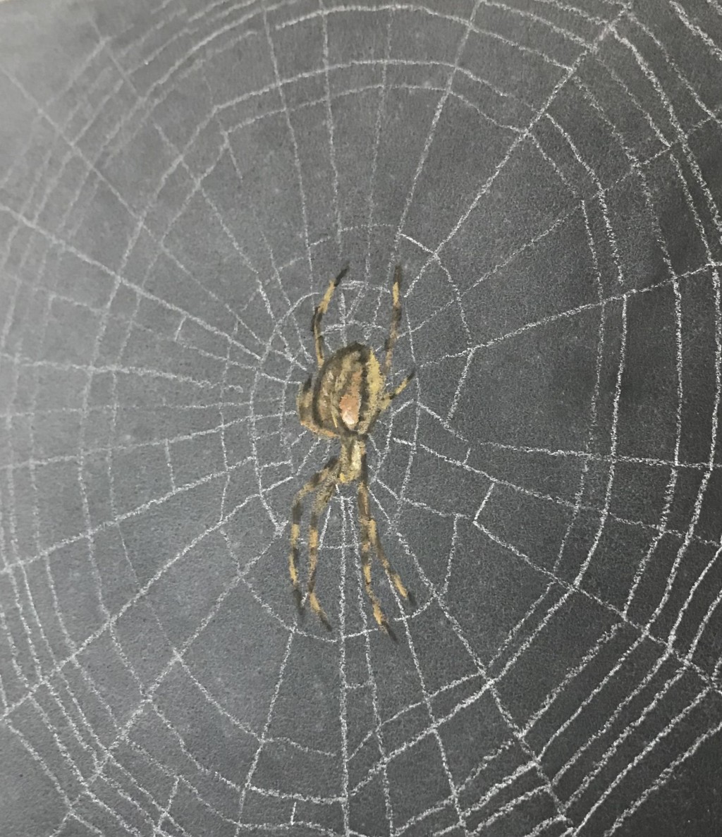 Orb Weaver Spider Drawing By Misti Doodle Addicts