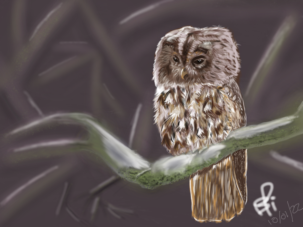 Day Dream Believer drawing by Will (Bampi) Edwards | Doodle Addicts