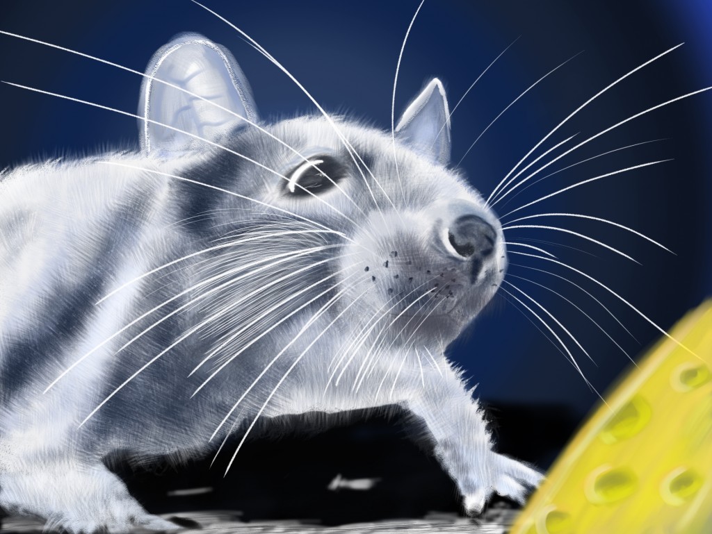 There's a rat in my kitchen drawing by Will (Bampi) Edwards | Doodle ...