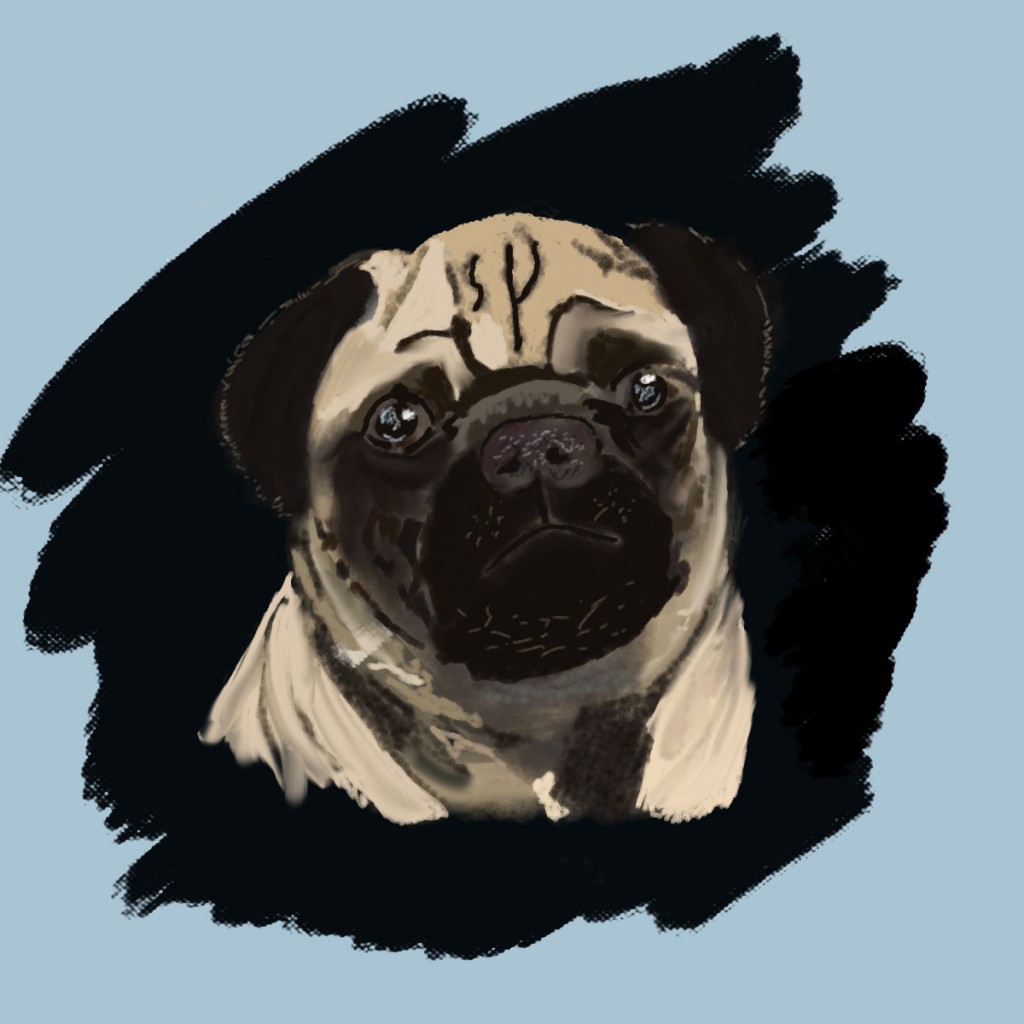 Cute Pug drawing by Will (Bampi) Edwards | Doodle Addicts