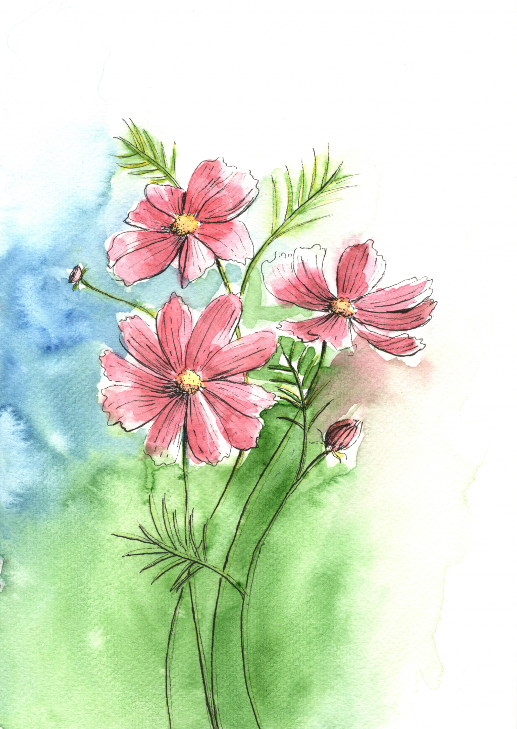 Cosmos drawing by Jayanthi Ratna C | Doodle Addicts