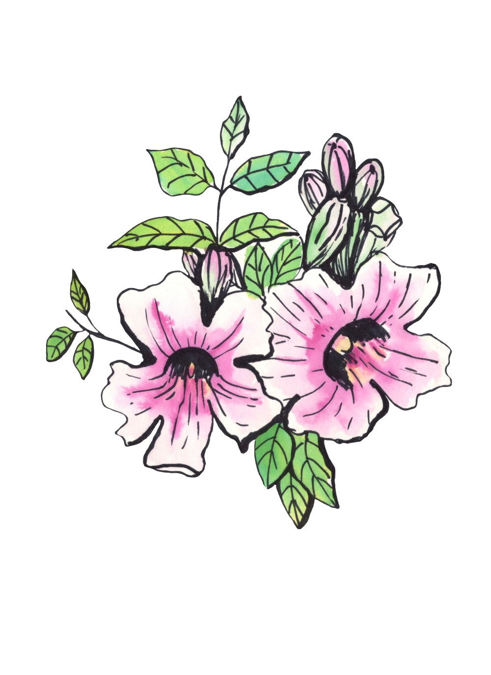 Pink Flower drawing by Jayanthi Ratna C | Doodle Addicts