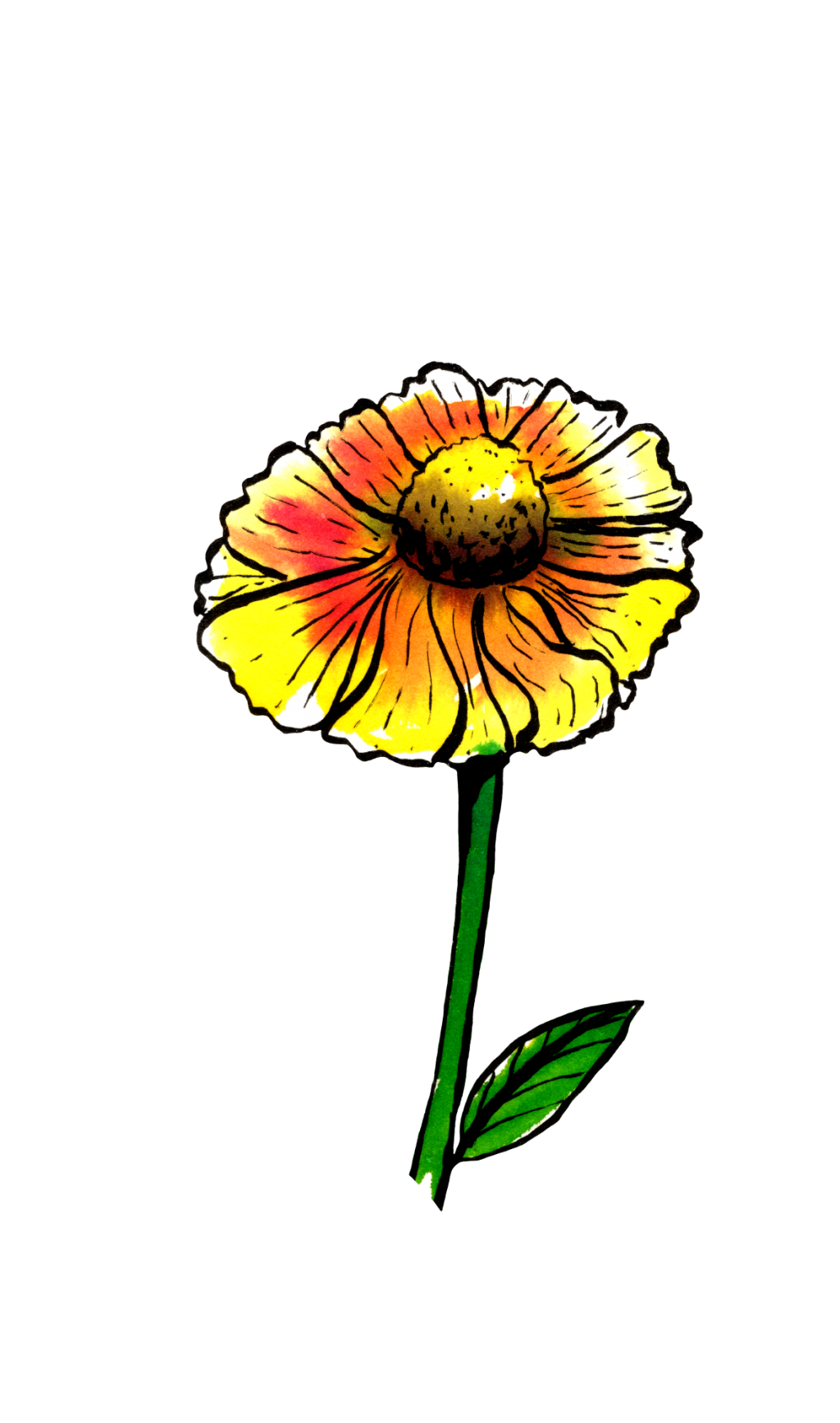 Yellow flower drawing by Jayanthi Ratna C | Doodle Addicts