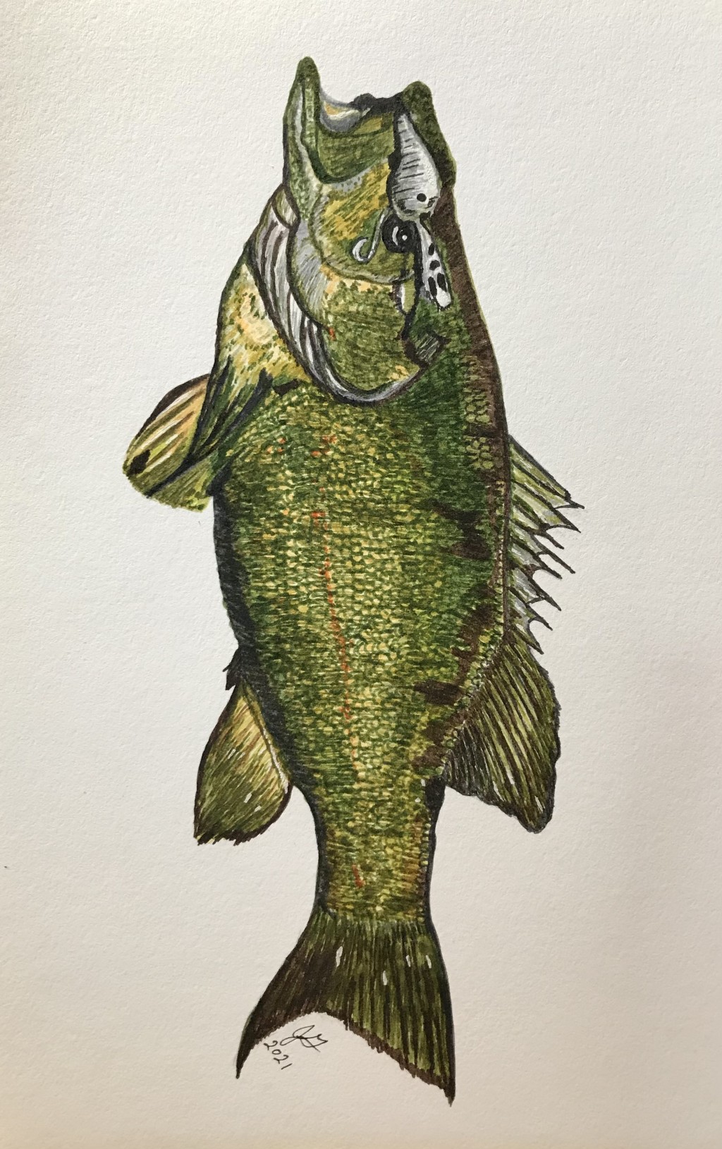 Catch of the Day drawing by Jean Garro | Doodle Addicts