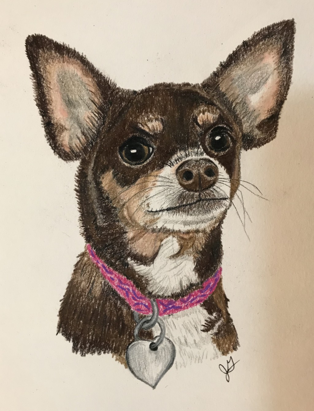 Trixie drawing by Jean Garro | Doodle Addicts