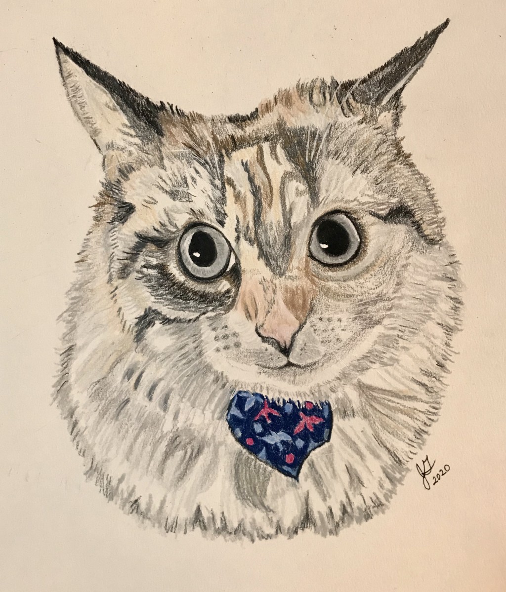 Minerva drawing by Jean Garro | Doodle Addicts