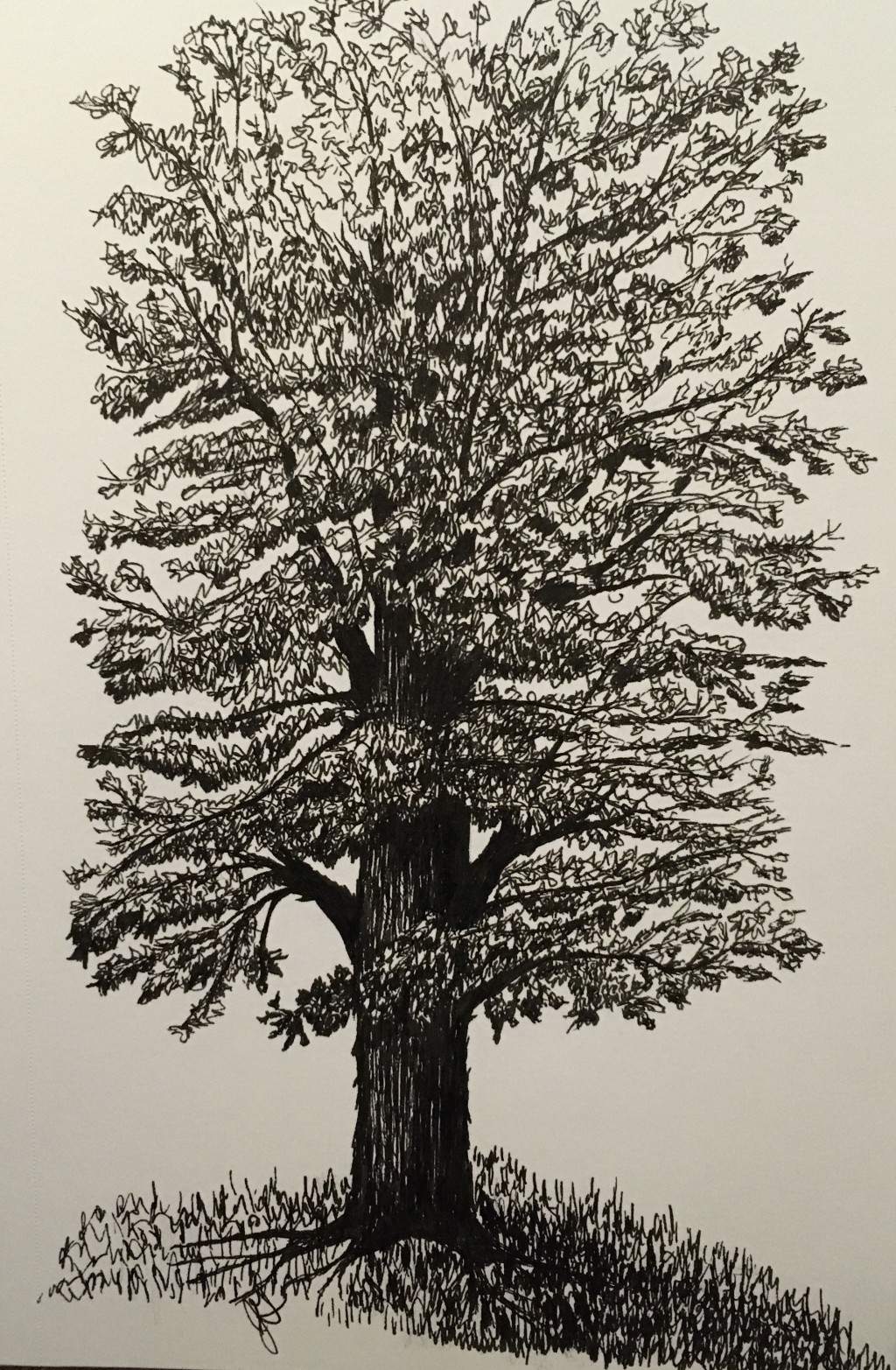 Doodle Tree drawing by Jean Garro | Doodle Addicts