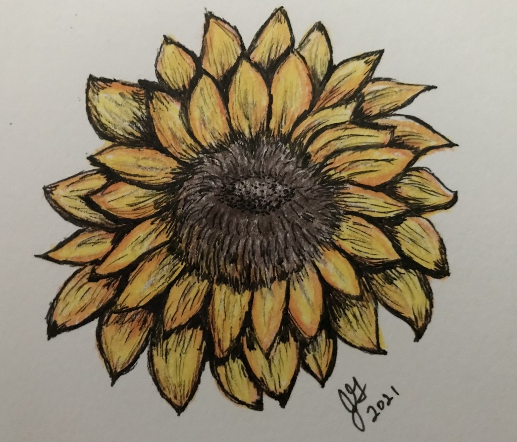 4 color sunflower drawing by Jean Garro | Doodle Addicts