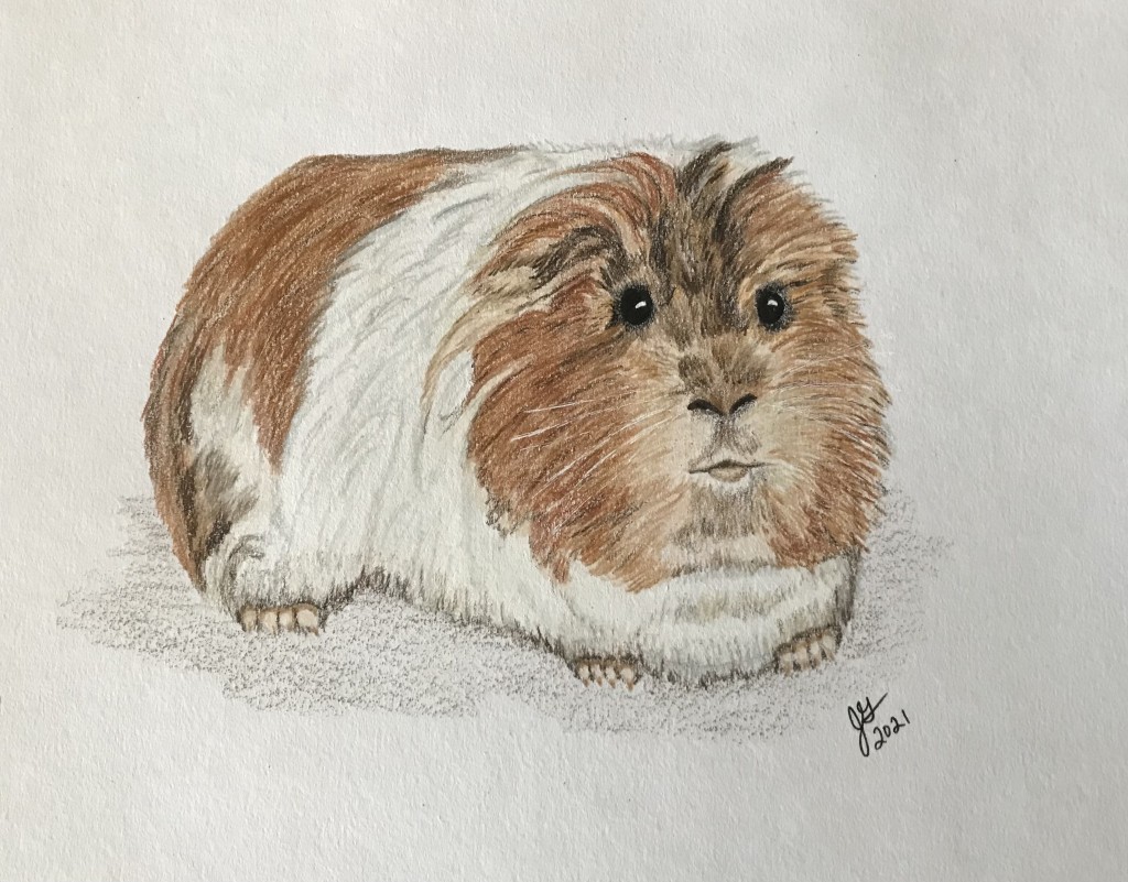 Mr. Susie drawing by Jean Garro | Doodle Addicts